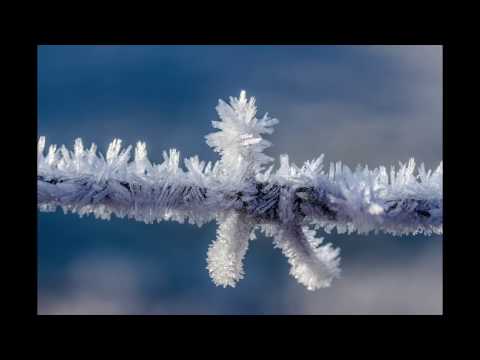 9 HOURS of Piano Instrumental music for working in office relaxing compilation