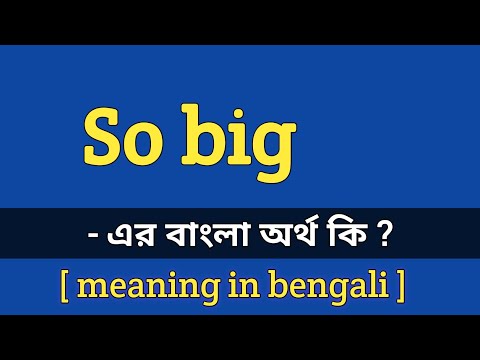 So big meaning in bengali || So big এর বাংলা অর্থ কি ?