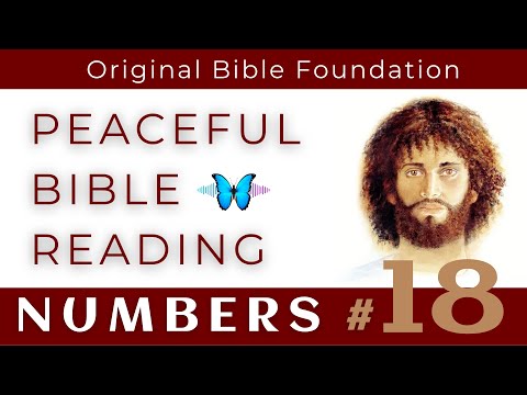 NUMBERS #18 verse 29:22 to 31:25 ???? Bible Verse Peaceful Bible Reading for Prayer & Blessed Life