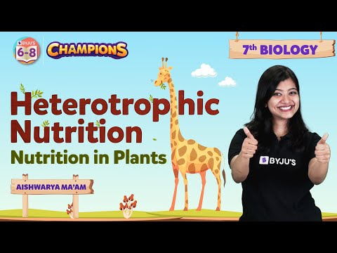Heterotrophic Nutrition - Nutrition in Plants Class 7 Science (Biology) | BYJU'S - Class 6, 7 & 8
