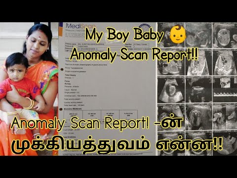 Anomaly Scan (20 -22 weeks) in Tamil // Boy Baby Anomaly Scan Reports // Importance of anomaly scan