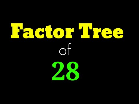 Factor Tree Of 28