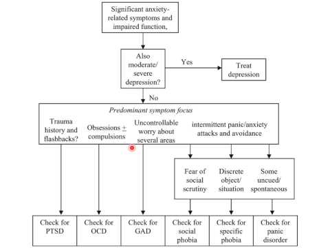 Diagnosing Anxiety Disorders