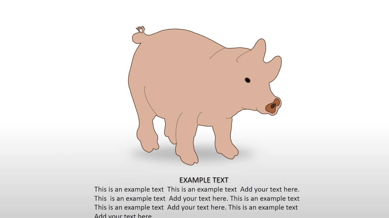 Get Best Animal Biology PowerPoint Templates and Backgrounds