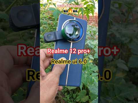 Realme 12 pro plus portrait camera test । Realme ui 6.0 । best mobile under 25000 । 120x zoom test