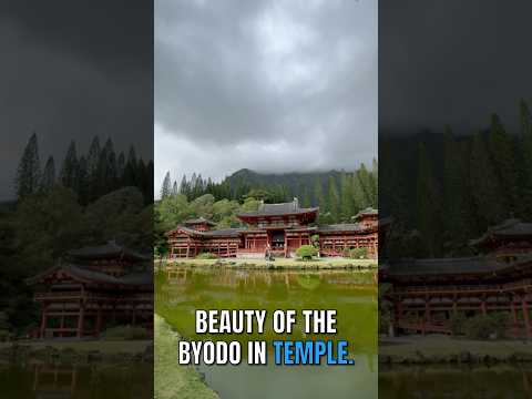 Your Guide to: Byodo-In Temple