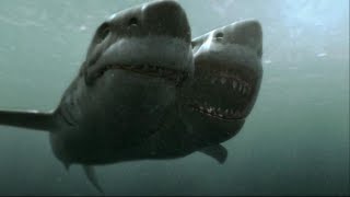 The Asylum is Launching a Cheap, Bad Movie Series at Cinemark Theaters