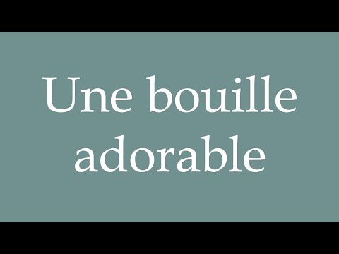 How to Pronounce ''Une bouille adorable'' (A cute face) Correctly in French