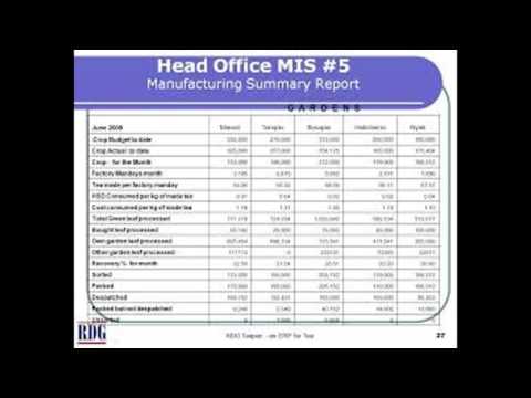 MIS Report Format in Excel For Accounts