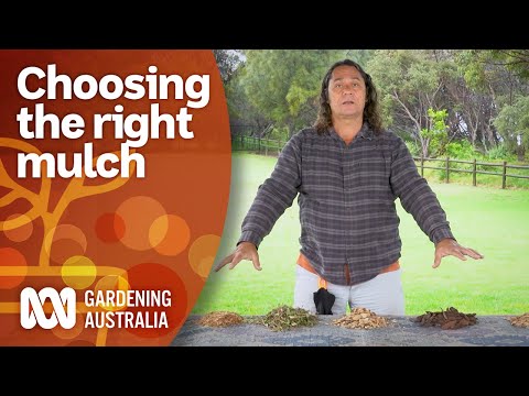 How to choose the right mulch for your gardening needs | Gardening 101 | Gardening Australia