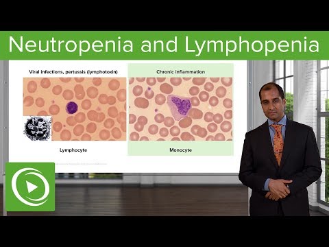 Quantitative WBC Disorders: Leukocytosis & Leukopenia – Pathology | Lecturio