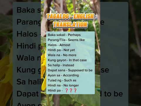 Tagalog English Translation #english #vocabulary #shorts #learningenglish #fypシ゚