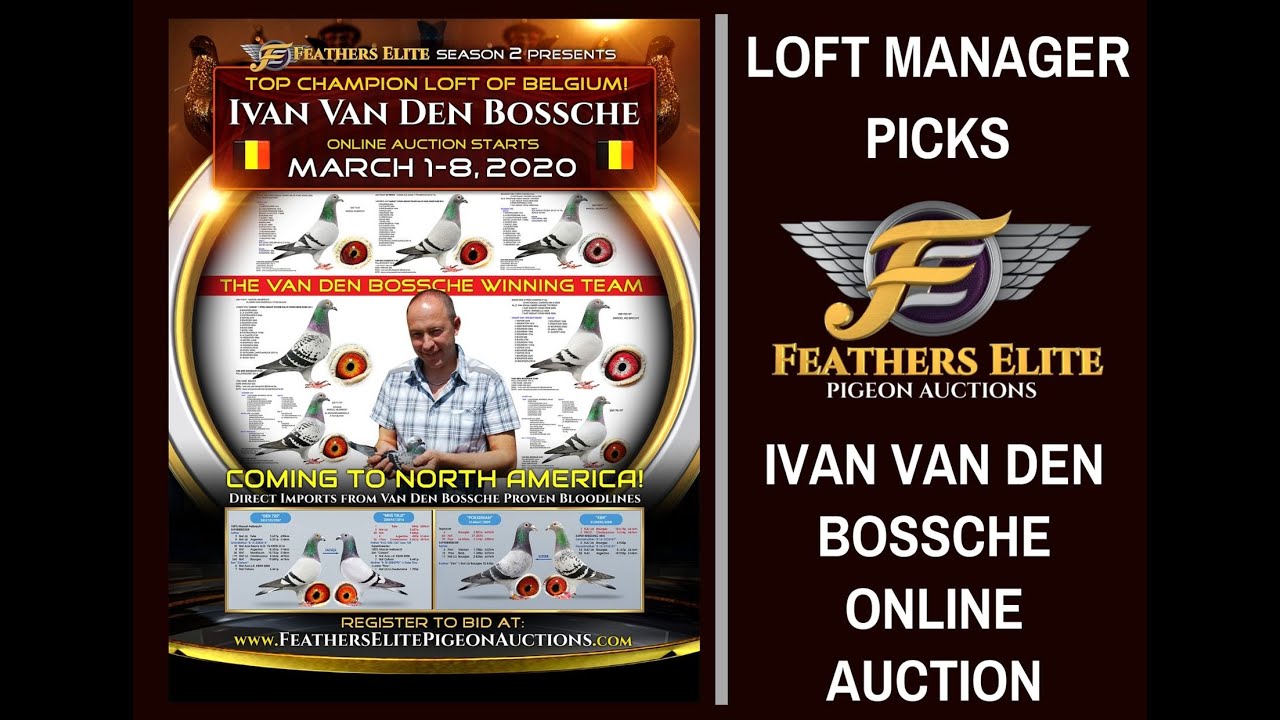 LOFT MANAGER PICKS IVAN VAN DEN BOSSCHE AUCTION