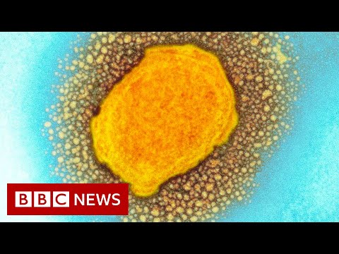 How to spot symptoms of monkeypox - BBC News
