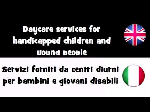 VOCABULARY IN 20 LANGUAGES = Daycare services for handicapped children and young people