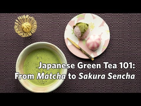 Japanese Green Tea 101: From Matcha to Sakura Sencha
