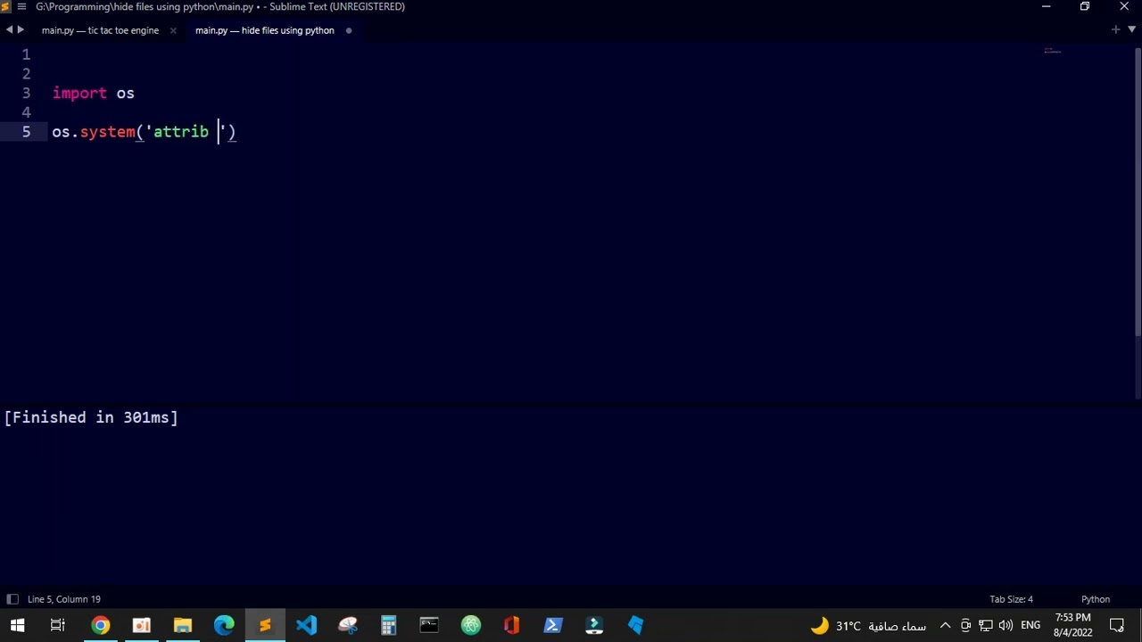 hide files using python