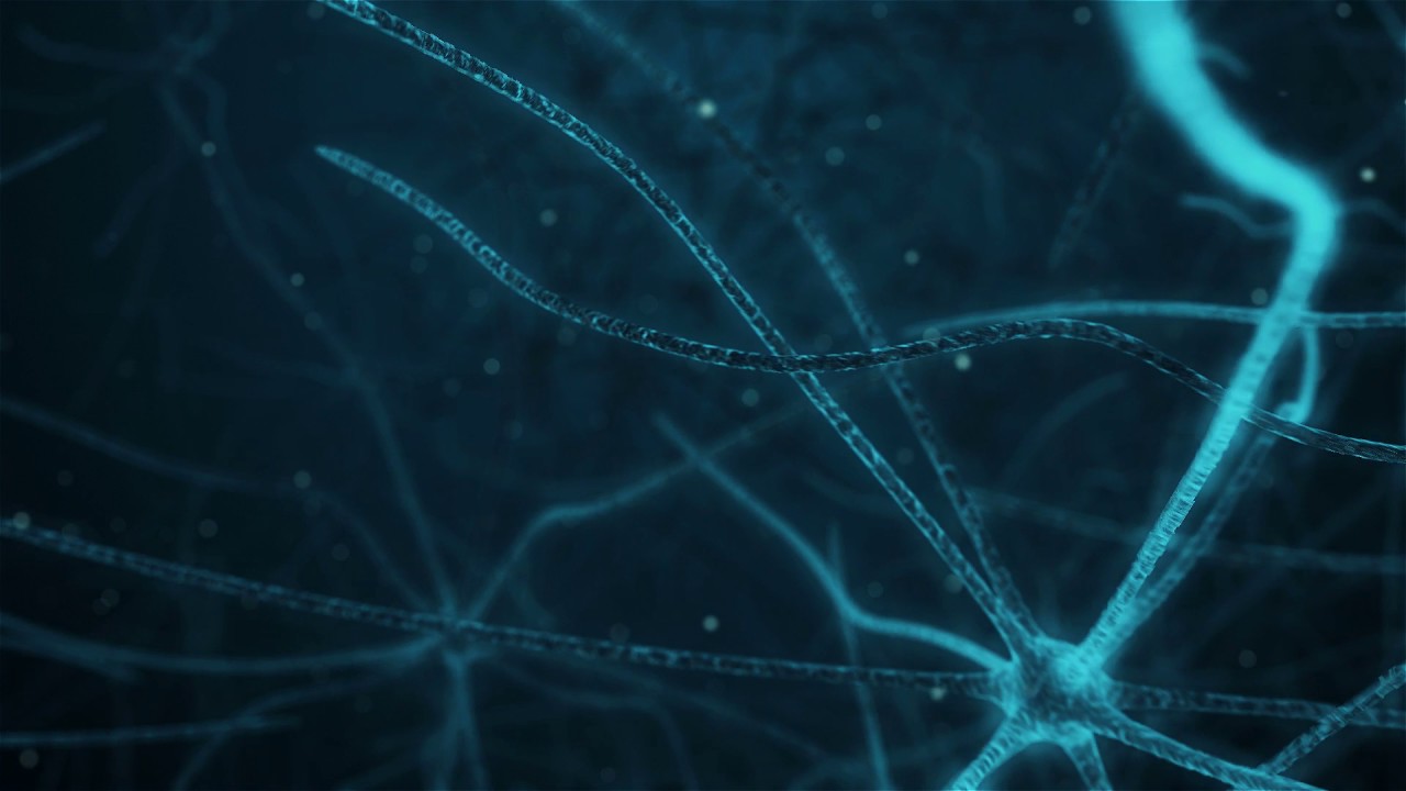 Animation of travelling through neurons in human brain