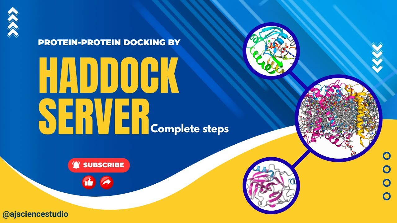 Haddock Docking complete steps