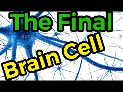The Final Brain Cell - Parody of The Final Countdown
