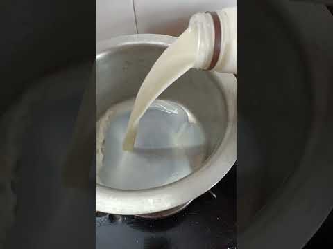 BEST A2 cow milk Provilac #viral #trending #shorts #viralshorts #milk #provilac