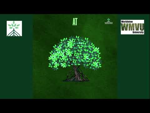 Mangrove in 60 Seconds