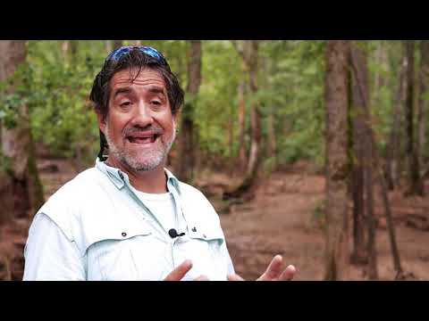 Value Added Producer Grant: Hamthropology