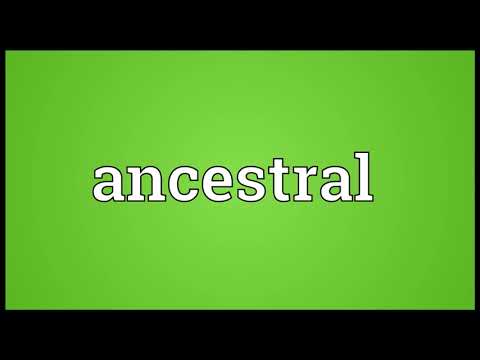 Ancestral Meaning
