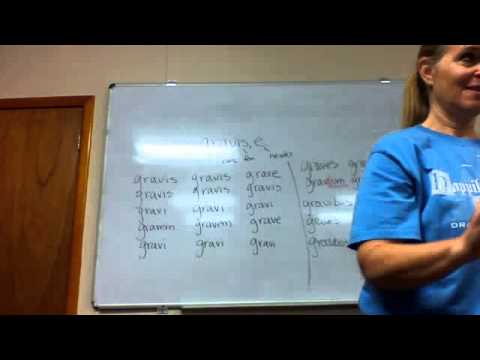 latin boot camp week 4- Henle lesson 7 and 8( adjectives)