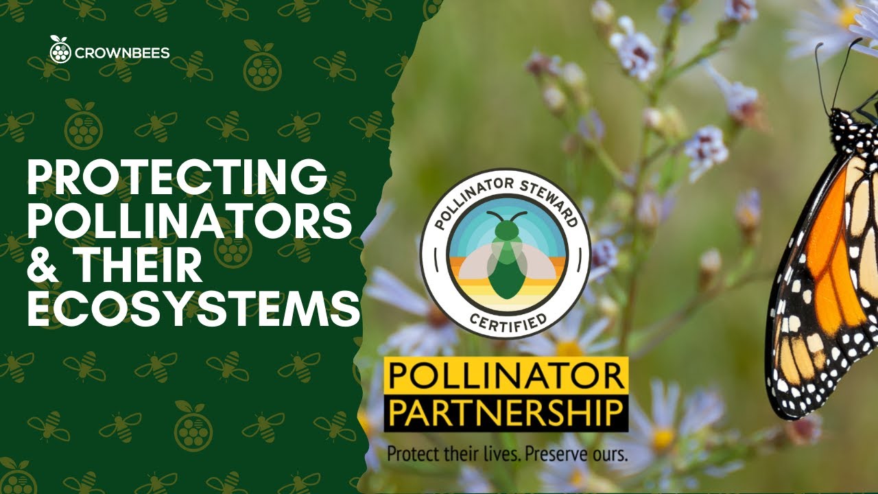 Protecting Pollinators & Their Ecosystems ft Pollinator Partnership