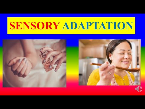 SENSORY ADAPTATION - Applied psychology for Nursing
