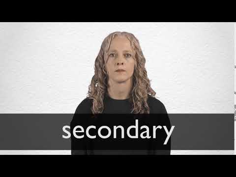 SECONDARY definition and meaning | Collins English Dictionary