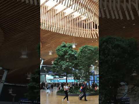 😍 What is the Portland Oregon airport (PDX) roof made of…? #pdx