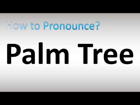 How to Pronounce Palm Tree