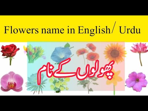 Flowers name in English and Urdu | flowers name #flowers #education