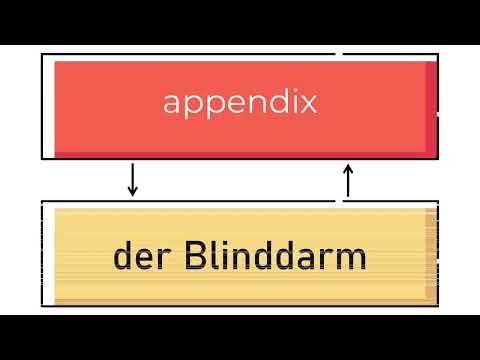 People - Internal Organs [German Learning - Female Voice]