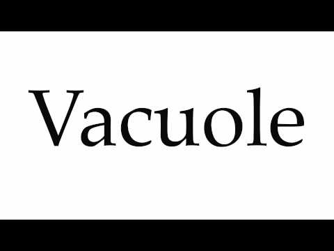 How to Pronounce Vacuole