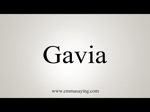How To Say Gavia