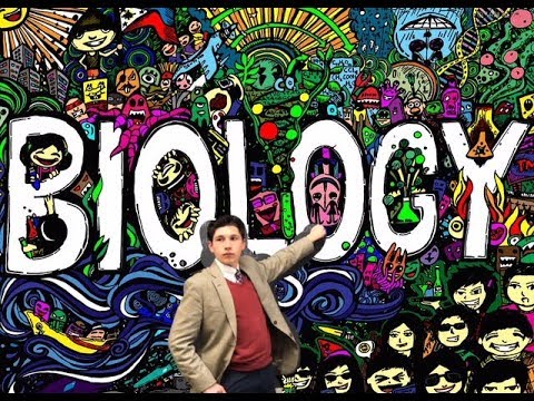 Biology SOL Review in One Take