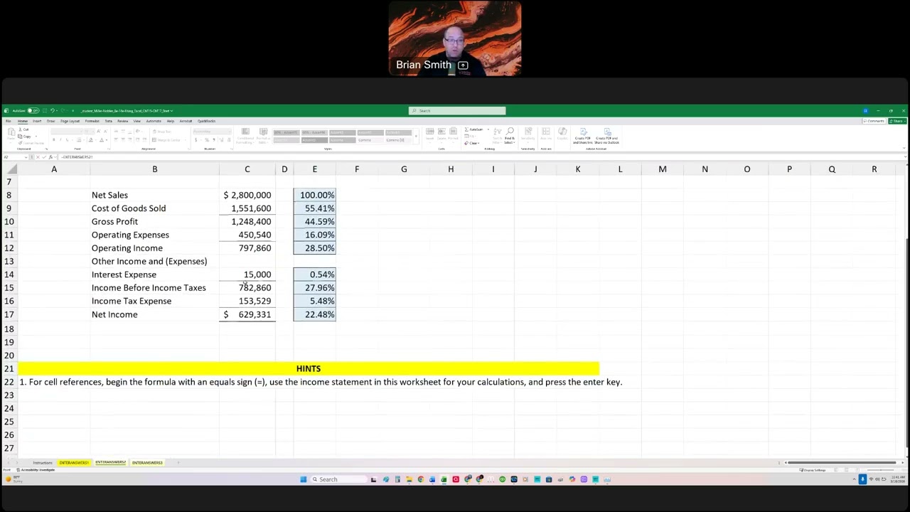 Chapter 17 Excel Homework Help