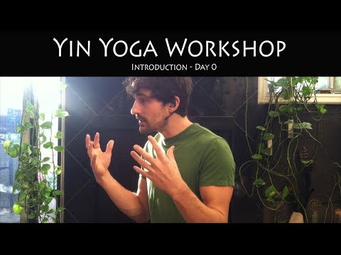 Yin Yoga Workshop | Introduction | Day 0 | Yoga w/ Stephen Beitler