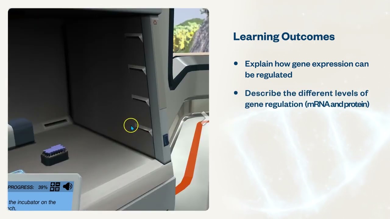 Gene Regulation | Virtual Lab