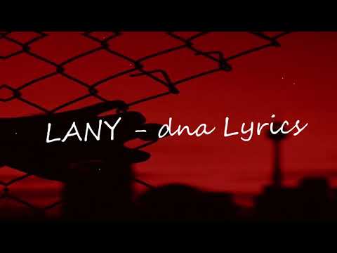 LANY - dna lyrics