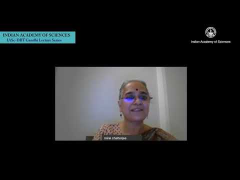 The Key to Health: Building Solidarity through Women’s Collectives
