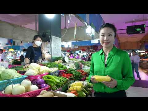 Walk China: Exploring Nanfan breeding base