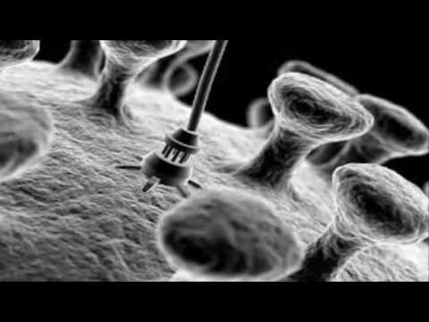 What is Nanotechnology? [Intro Video]