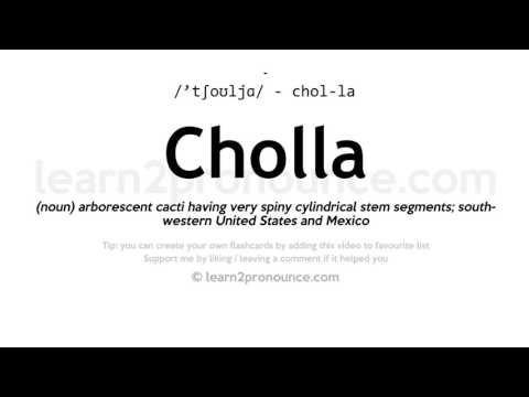 Pronunciation of Cholla | Definition of Cholla