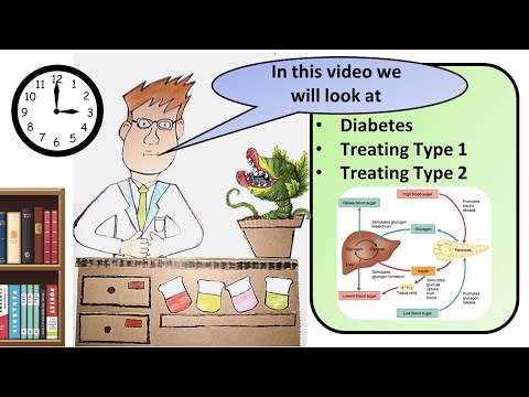 AP / A Level Biology Diabetes and its Control Revision