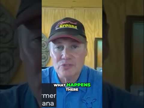 Organic Farming Crisis: Overseas Supply Destroys Prices!