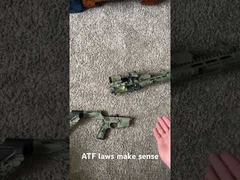 Atf laws make sense for sure. #sbr #rifle #tactical #223